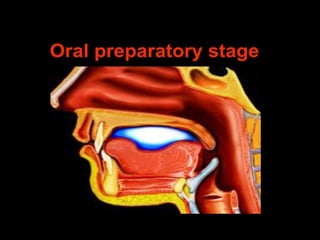 Mastication And Deglutition | PPTX