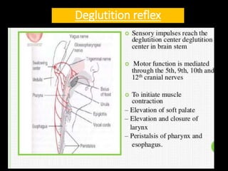 Mastication And Deglutition | PPTX