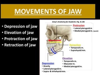 Mastication And Deglutition | PPTX