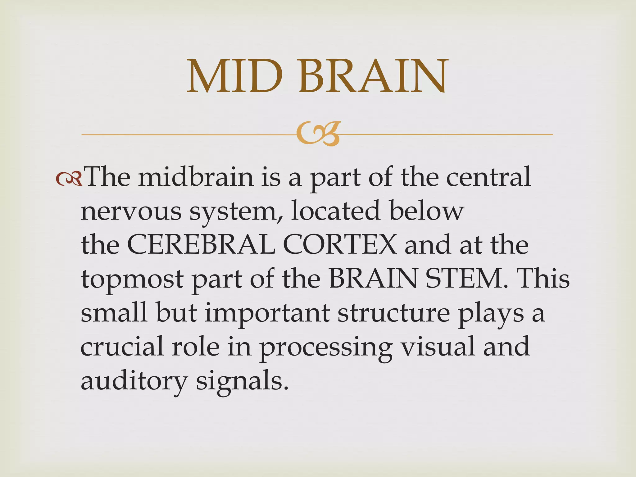 Mid Brain | PDF