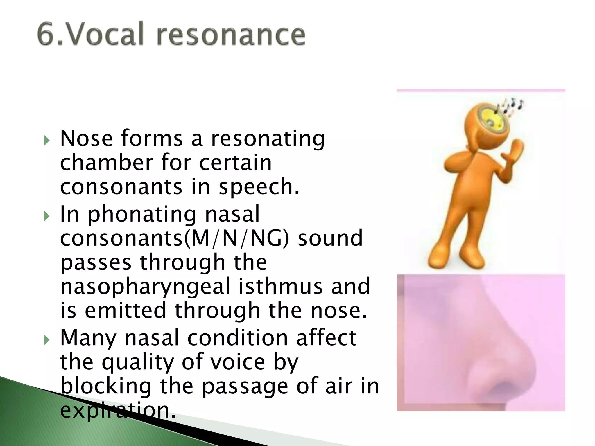 Physiology of nose, olfaction and pathway | PPTX