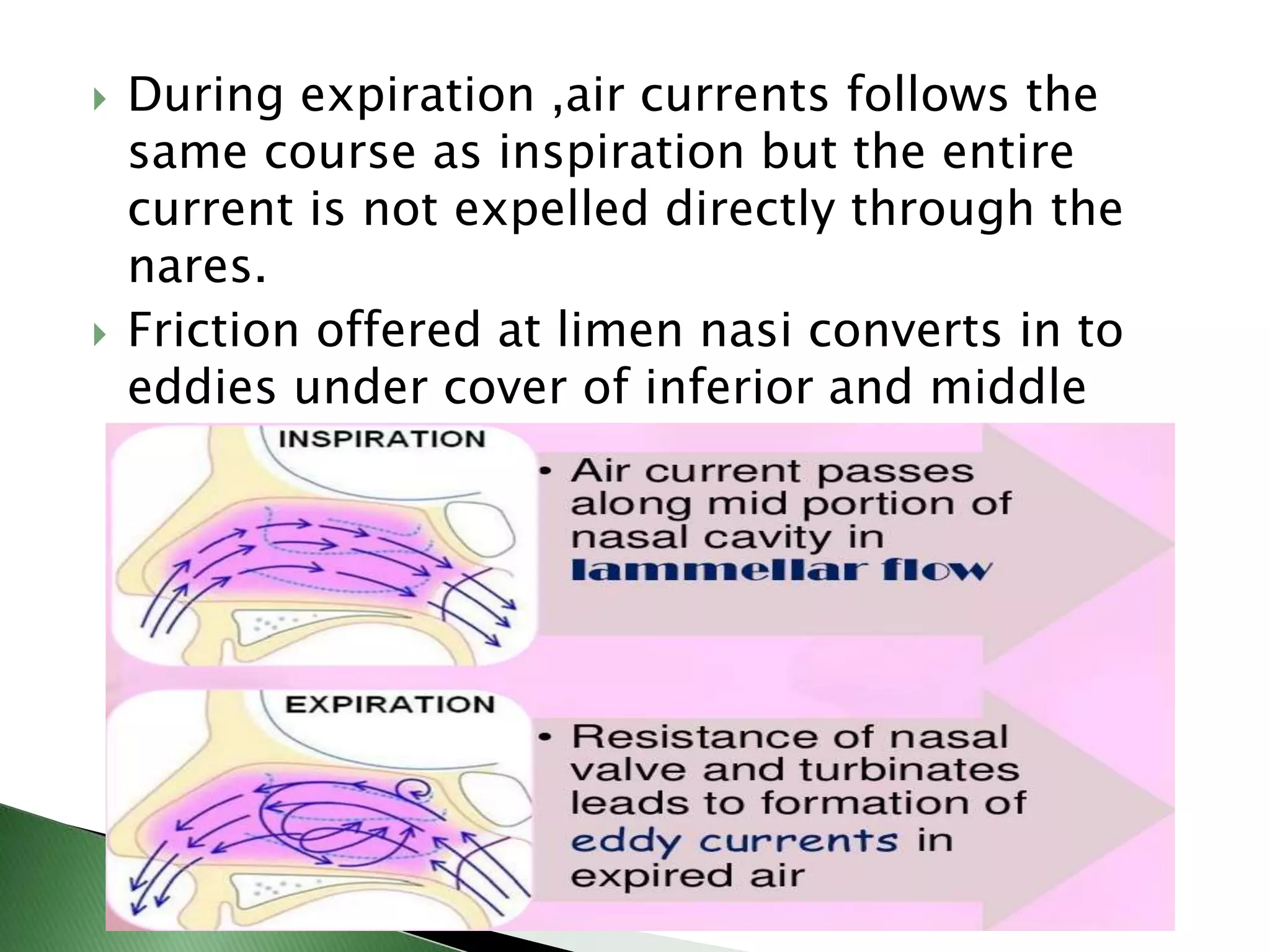 Physiology of nose, olfaction and pathway | PPTX