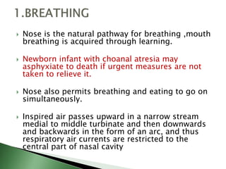 Physiology of nose, olfaction and pathway | PPTX