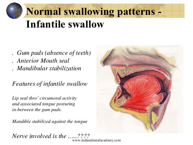 Physio of stomatognathic system