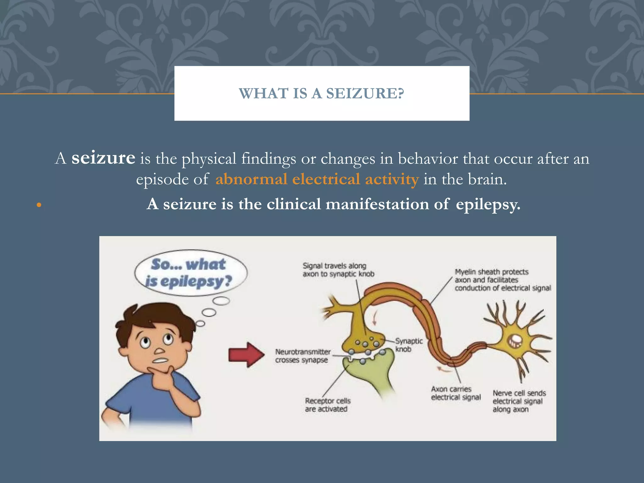 Physiopathology of epilepsy | PDF