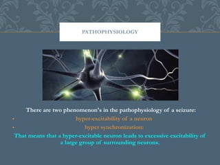 Physiopathology of epilepsy | PDF