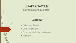 Parts of brain | PPTX | Brain and Nervous System Disorders | Diseases ...