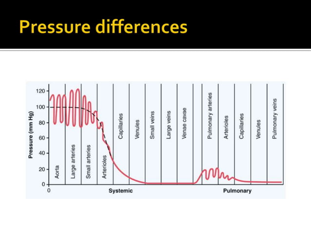 Physio presentation pressure flow and resistance | PPTX