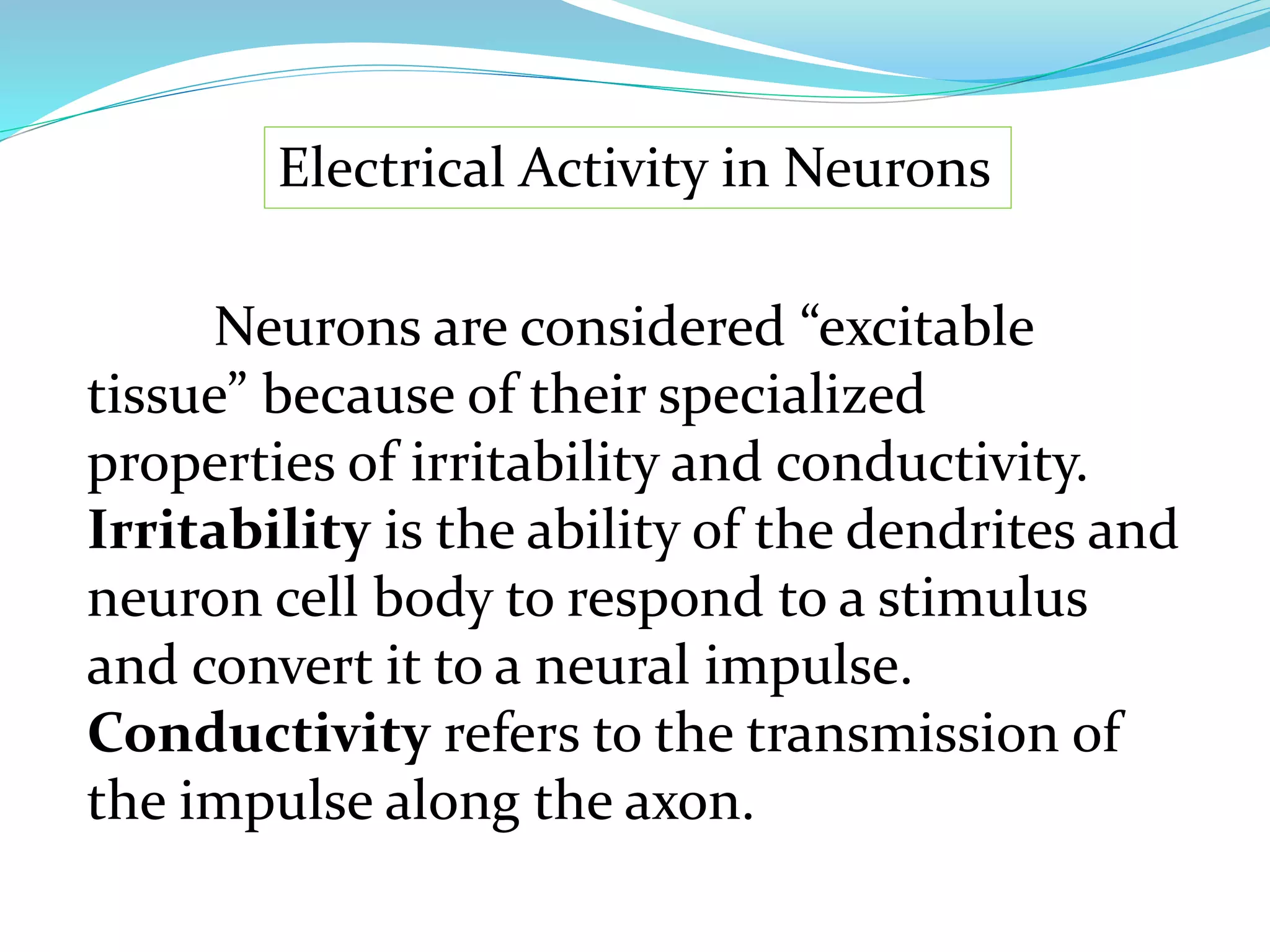 The Nervous System | PPTX