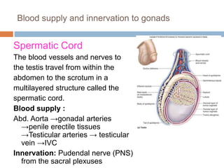 physio reproductive lela.ppt