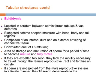 physio reproductive lela.ppt