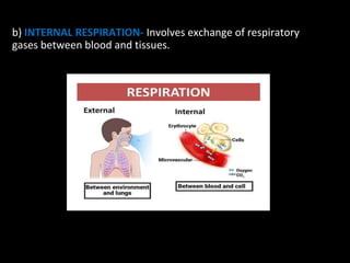 Respiratory..ppt