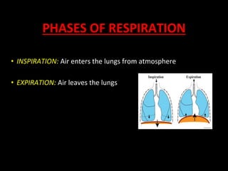 Respiratory..ppt