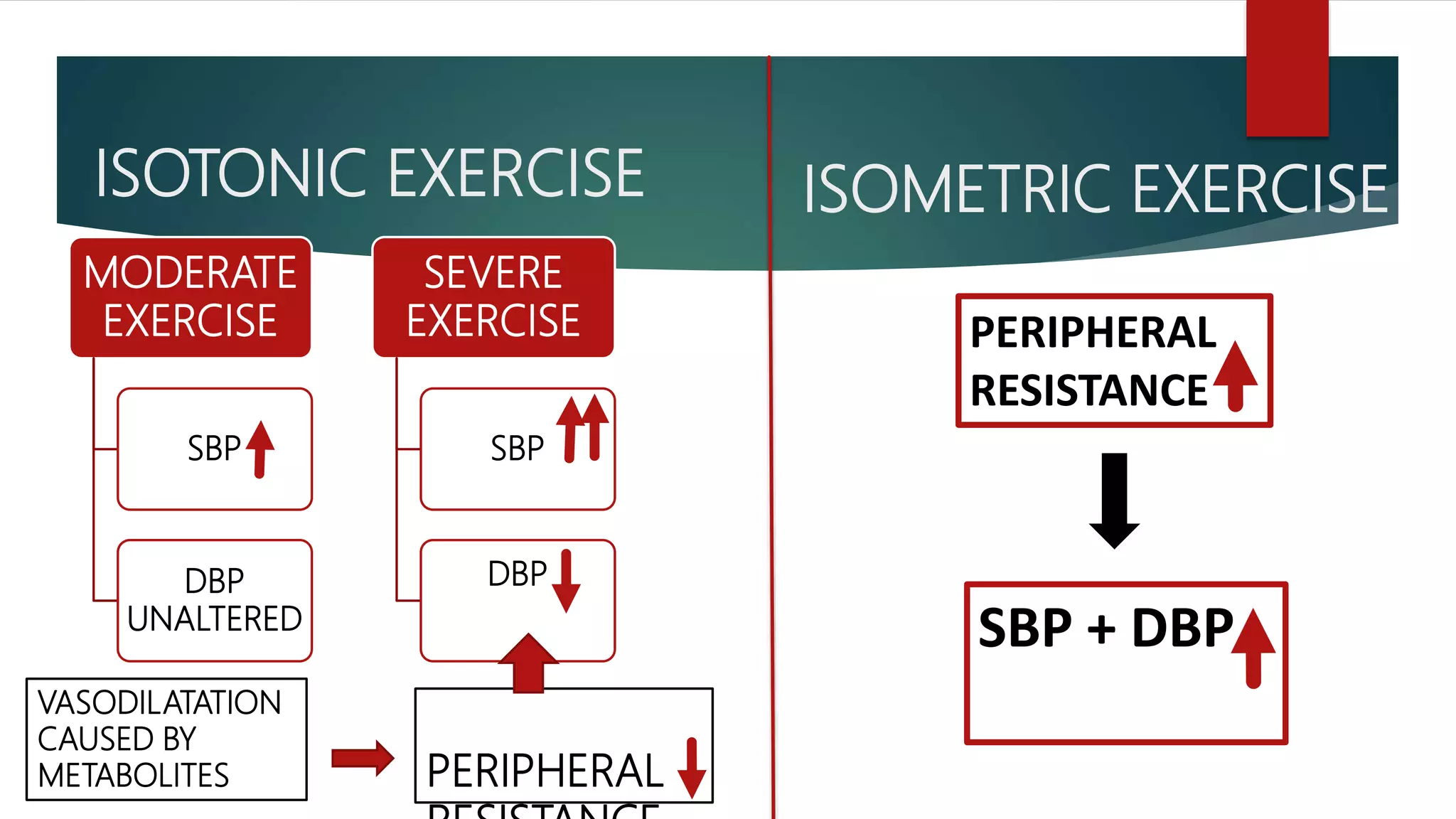 Cardio-Pulmonary Changes during Exercise | PPTX