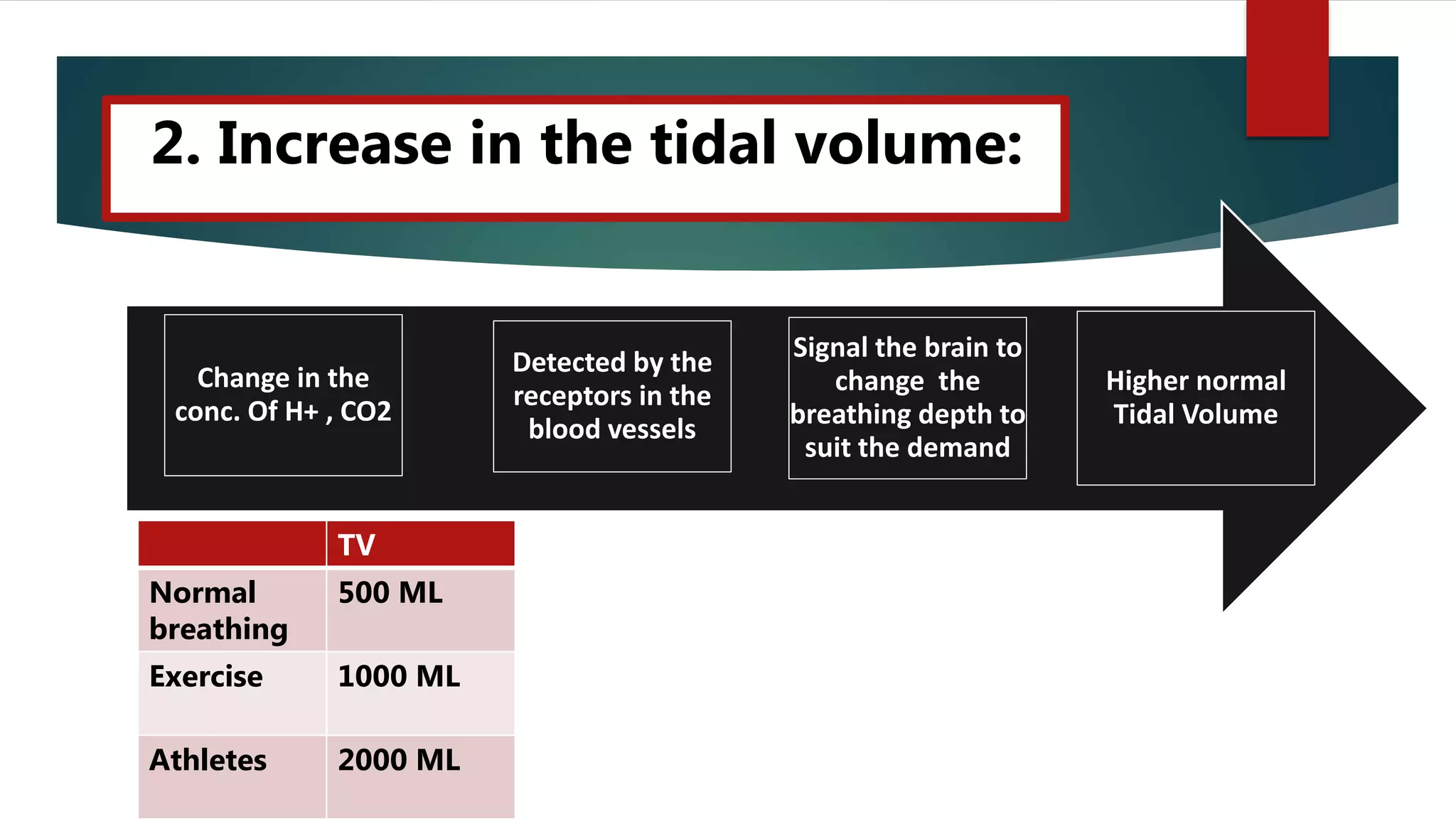Cardio-Pulmonary Changes during Exercise | PPTX
