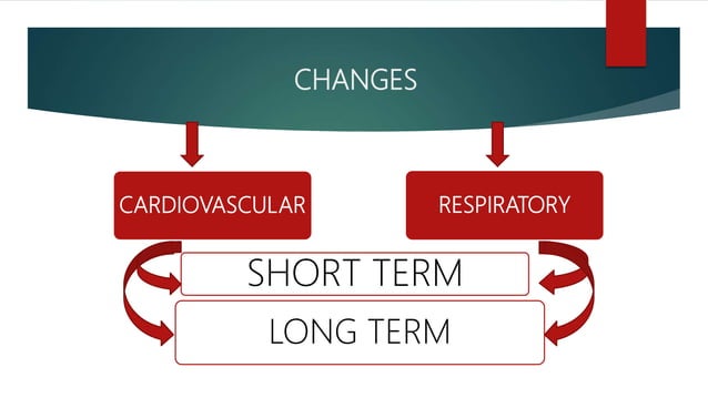 Cardio-Pulmonary Changes during Exercise | PPTX | Lung and Respiratory ...