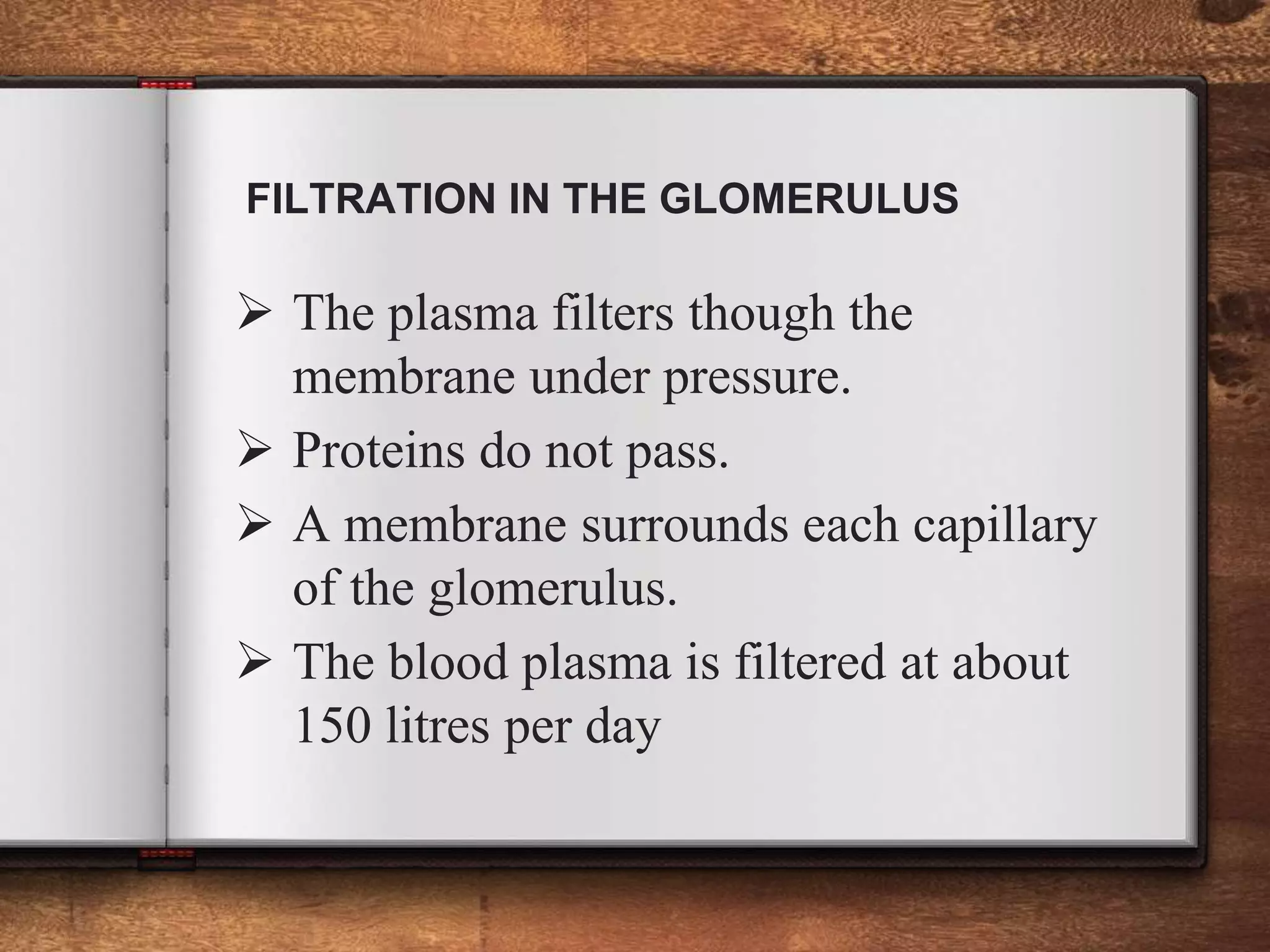 role of kindey in acid base balance | PPTX