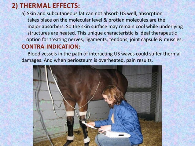 Physiotherapy in animals | PPTX