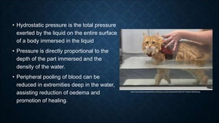 Physiotherapy Hydrotherapy 10. week.pptx.ppt