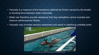 Physiotherapy Hydrotherapy 10. week.pptx.ppt