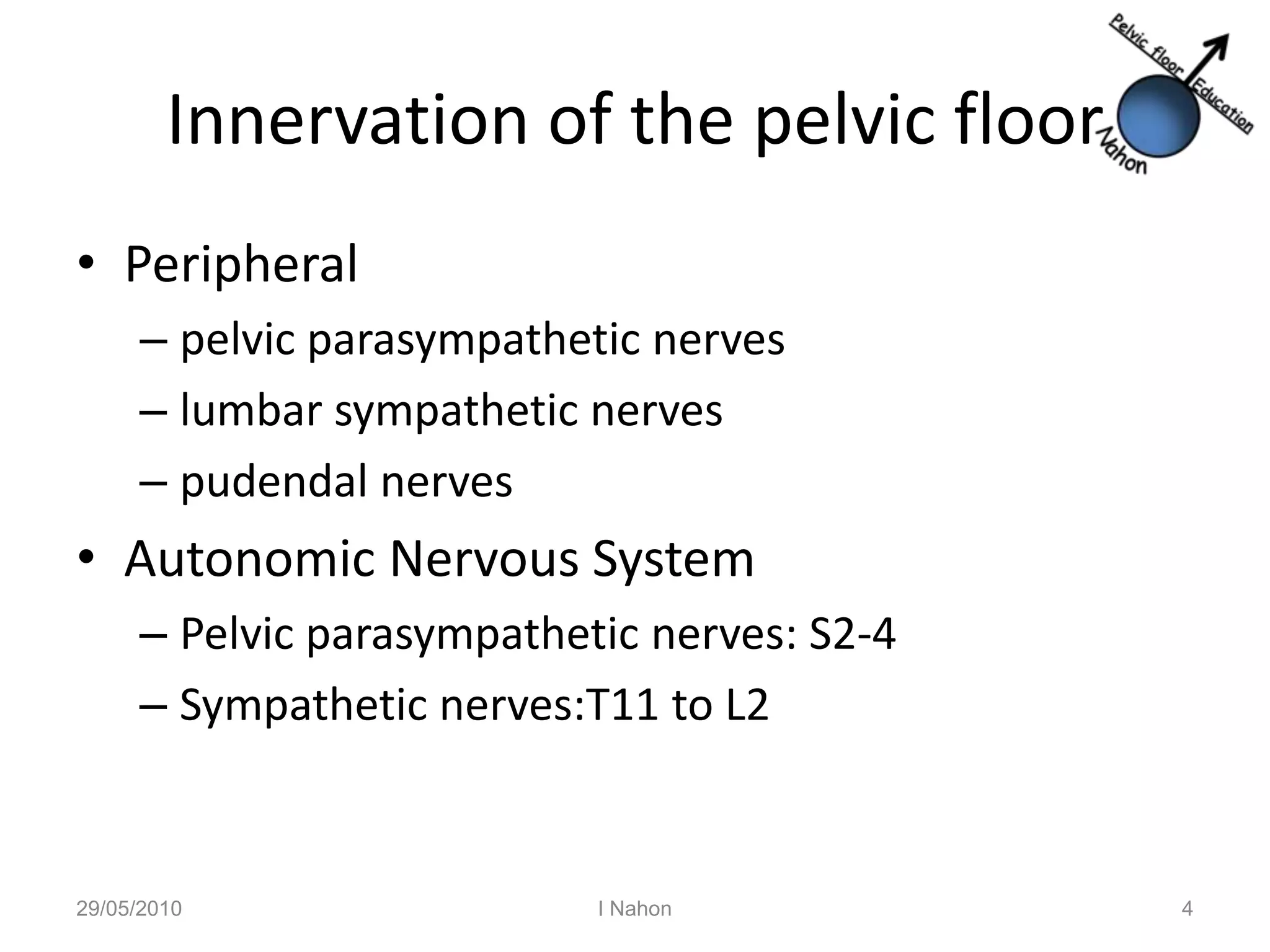 Physiotherapy and the_male_pelvic_floor_-_irmina_nahon | PPS