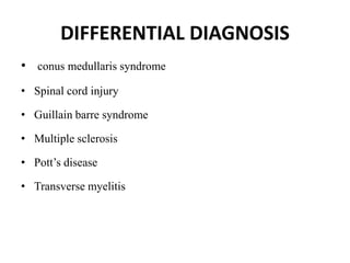 PHYSIOTHERAPY ASSESSMENT IN PATIENT WITH CAUDAL EQUINAL SYNDROME | PPTX ...