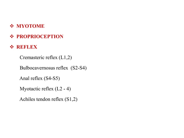 PHYSIOTHERAPY ASSESSMENT IN PATIENT WITH CAUDAL EQUINAL SYNDROME | PPTX ...
