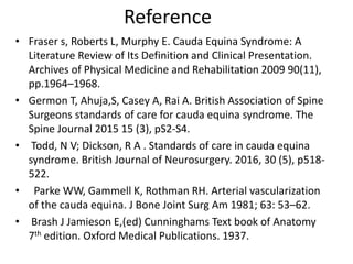PHYSIOTHERAPY ASSESSMENT IN PATIENT WITH CAUDAL EQUINAL SYNDROME | PPTX
