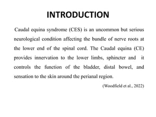 PHYSIOTHERAPY ASSESSMENT IN PATIENT WITH CAUDAL EQUINAL SYNDROME | PPTX