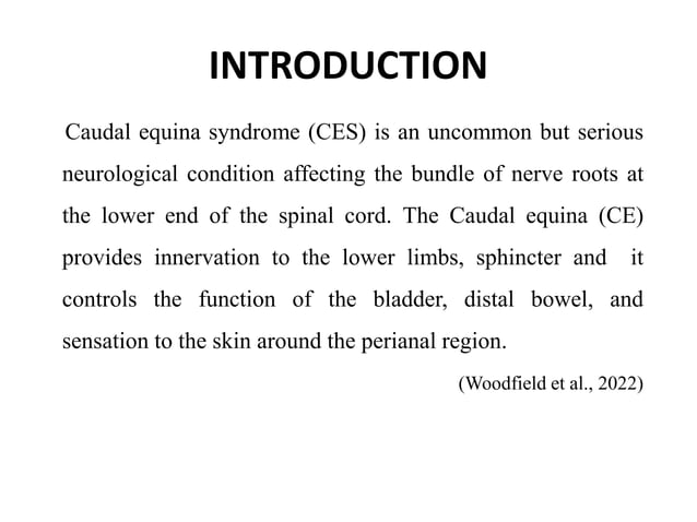 PHYSIOTHERAPY ASSESSMENT IN PATIENT WITH CAUDAL EQUINAL SYNDROME | PPTX ...