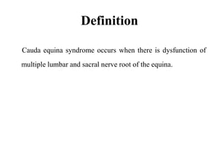PHYSIOTHERAPY ASSESSMENT IN PATIENT WITH CAUDAL EQUINAL SYNDROME | PPTX ...