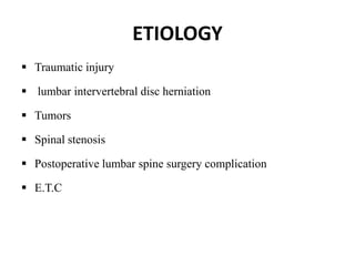 PHYSIOTHERAPY ASSESSMENT IN PATIENT WITH CAUDAL EQUINAL SYNDROME | PPTX