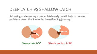 PHYSIOTHERAPY IN LACTATION & BREASTFEEDING.pptx | Pregnancy ...