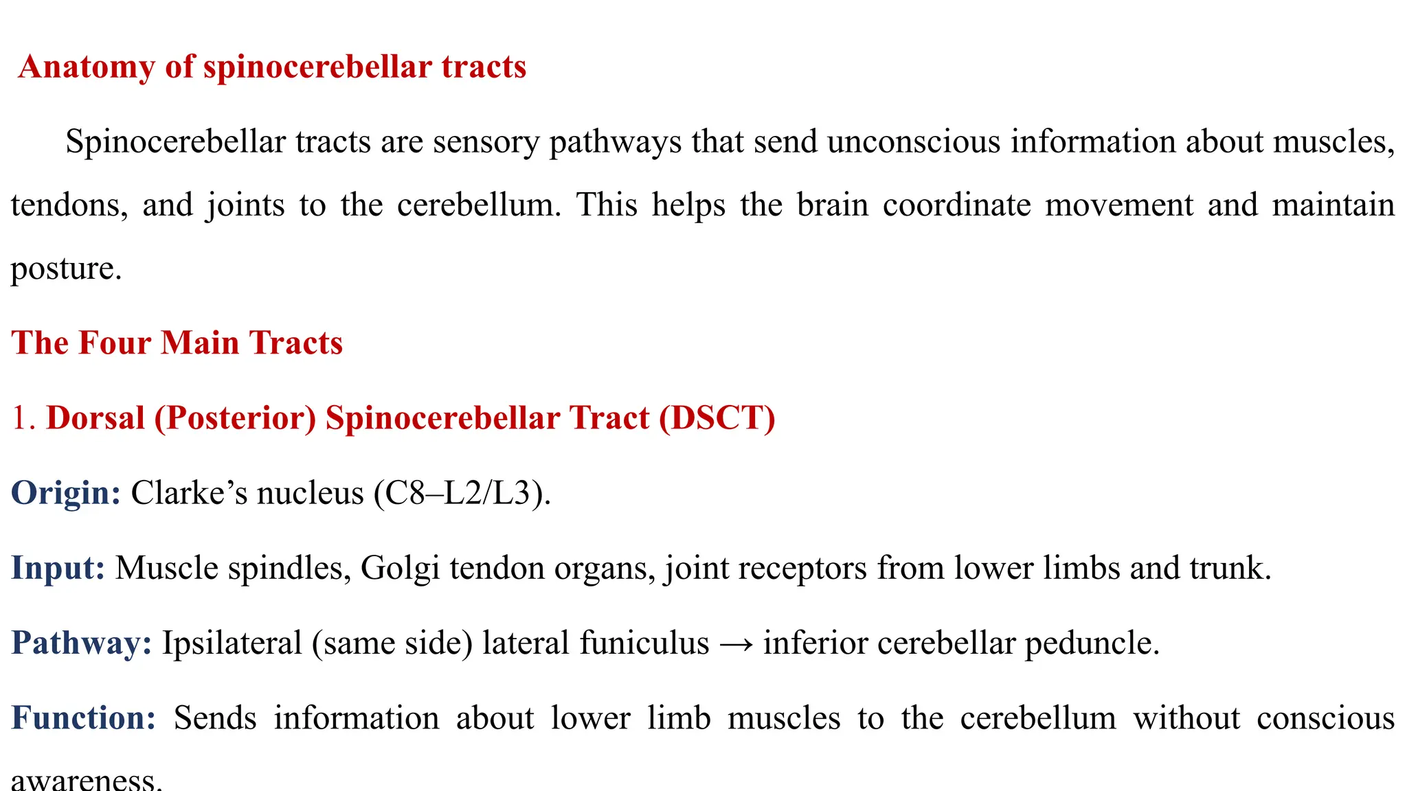 Understanding Spinocerebellar Tracts and Their Role in Human ...