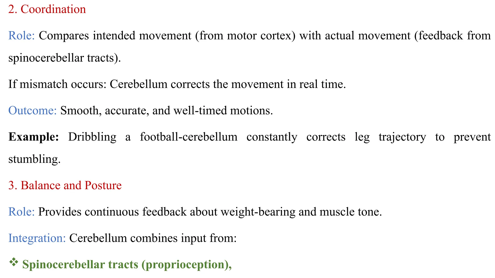 Understanding Spinocerebellar Tracts and Their Role in Human ...