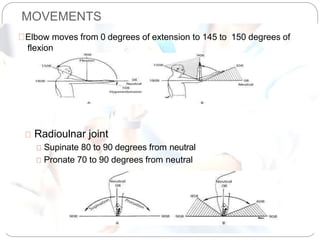 Physiotherapy Protocol for Elbow Joint Cases.pptx | Death, Injury, or ...
