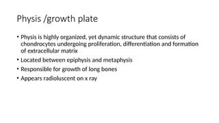 physis - final.pptx layers of physis in children | PPT