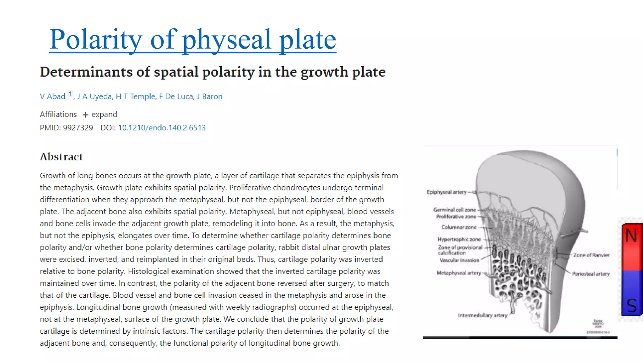Physis-Development,Anatomy,Physiology,Pathology,Diseases | PPT