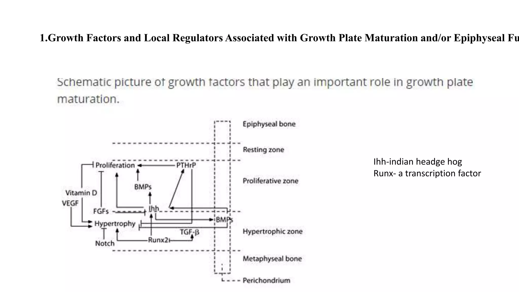Physis-Development,Anatomy,Physiology,Pathology,Diseases | PPT