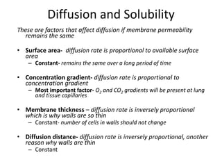 Physiology Term 2 #8 - Gas Exchange | PPT
