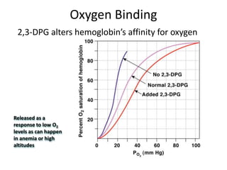 Physiology Term 2 #8 - Gas Exchange | PPT