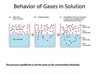 Physiology Term 2 #8 - Gas Exchange | PPT