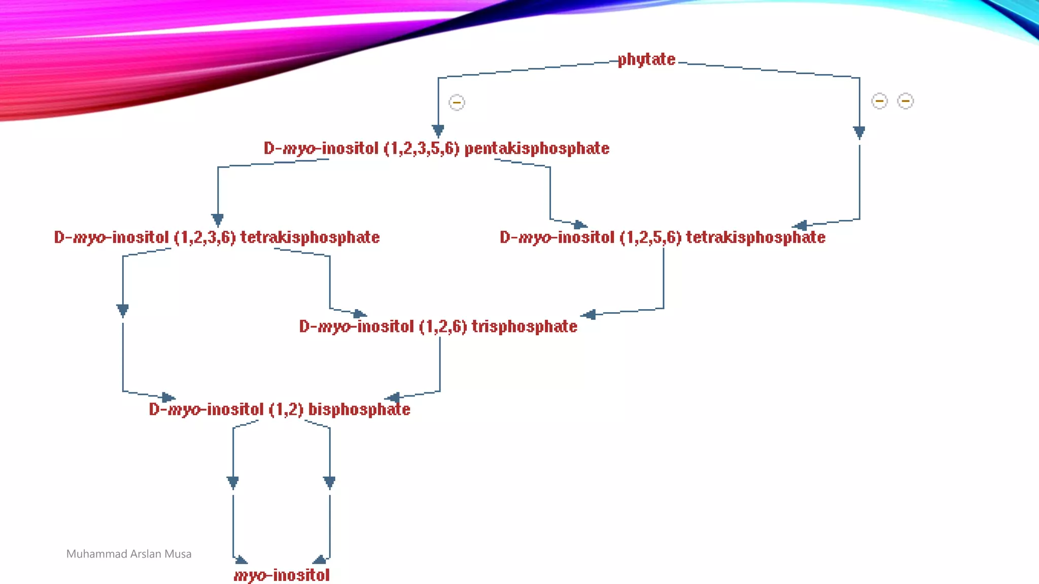 Phytase in Poultry | PPSX