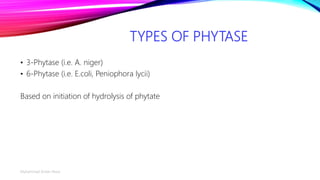 Phytase in Poultry | PPSX