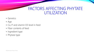 Phytase in Poultry | PPSX