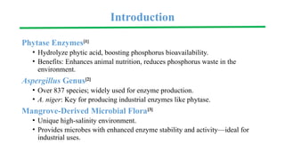 Phytase Enzymes in Aspergillus Strains.pptx