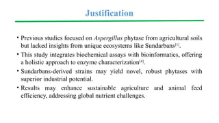 Phytase Enzymes in Aspergillus Strains.pptx