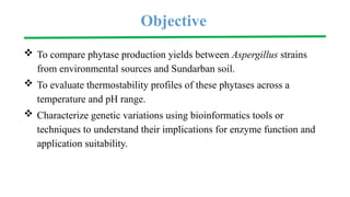 Phytase Enzymes in Aspergillus Strains.pptx