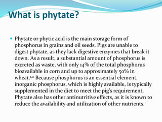 Phytase presentation a | PPTX