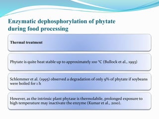 Phytase presentation a | PPTX